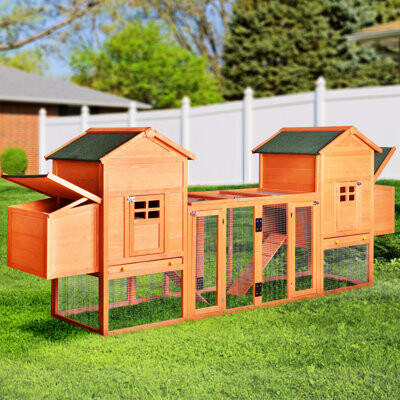 Tucker Murphy Pet Fiorenze Chicken Coop with Chicken Run For Up To 8 ...