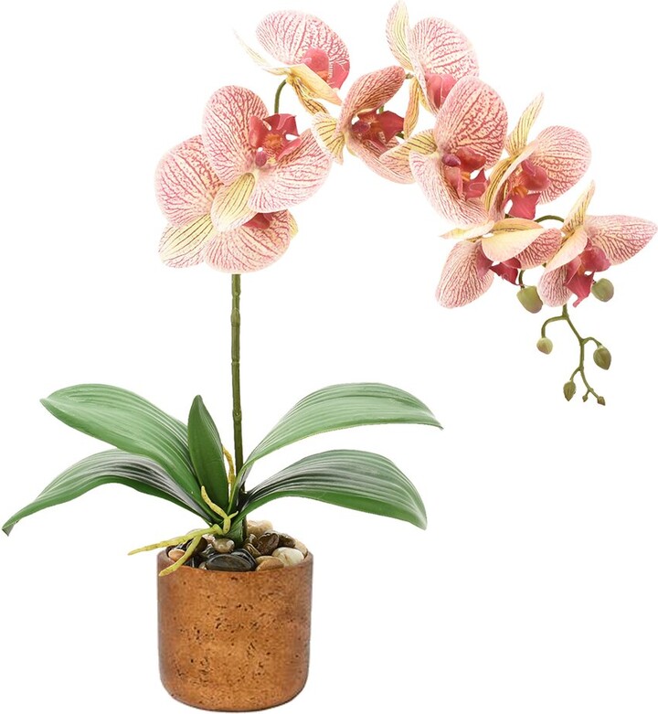 Creative Displays Orchid In Pot With River Rocks - ShopStyle Decor