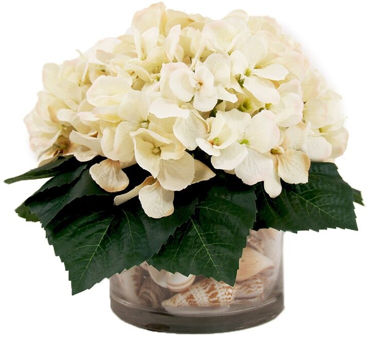 Creative Displays Cream Hydrangea In Glass Vase Filled With Sea Shells ...
