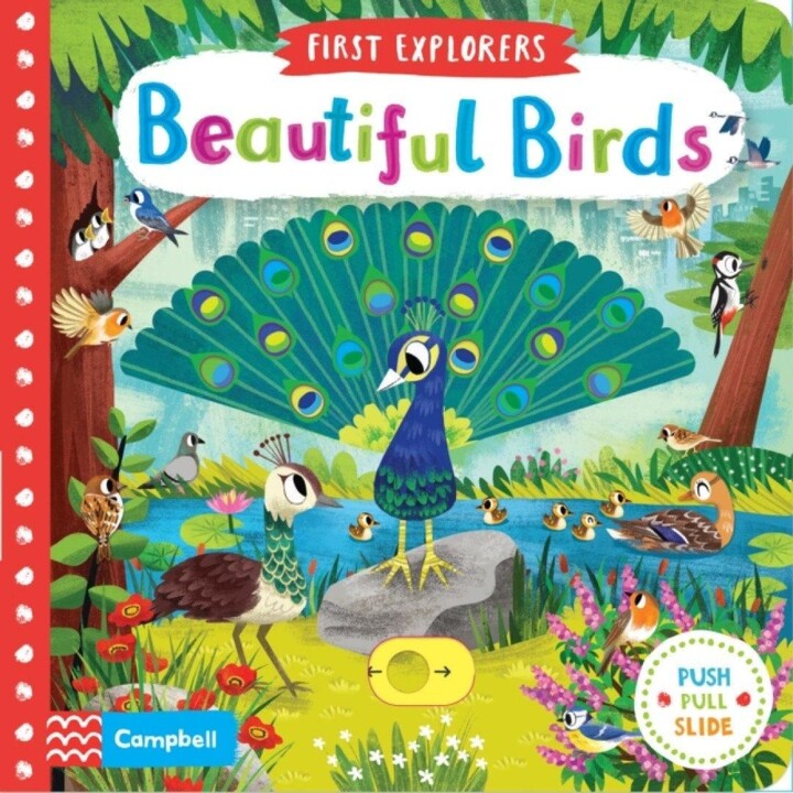 Campbell Books Beautiful Birds Book - ShopStyle
