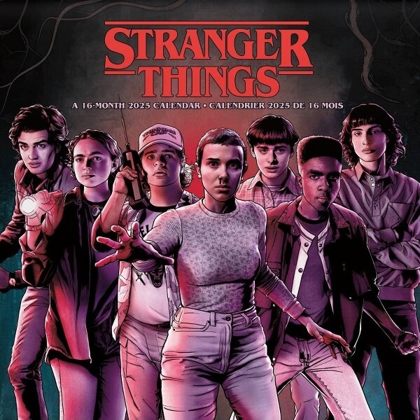 Trends International 2025 Stranger Things Bilingual French Wall ...