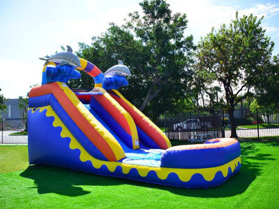 JumpOrange 14 FT Dolphin Splash Commercial Grade Water Slide with ...