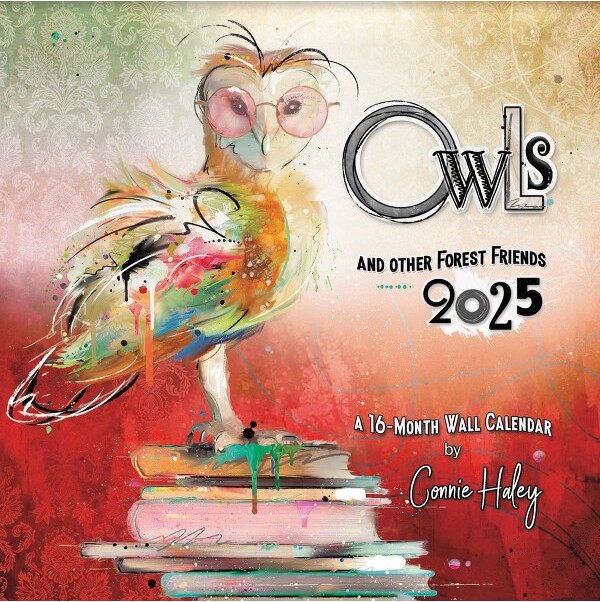 Trends International 2025 Owls Connie Haley Wall Calendar - ShopStyle ...