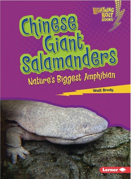 Lerner Publications (Tm) Chinese Giant Salamanders - (Lightning Bolt ...