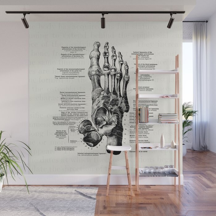 Society6 Joints of the Foot Vintage Anatomy Podiatry Illustration Wall ...