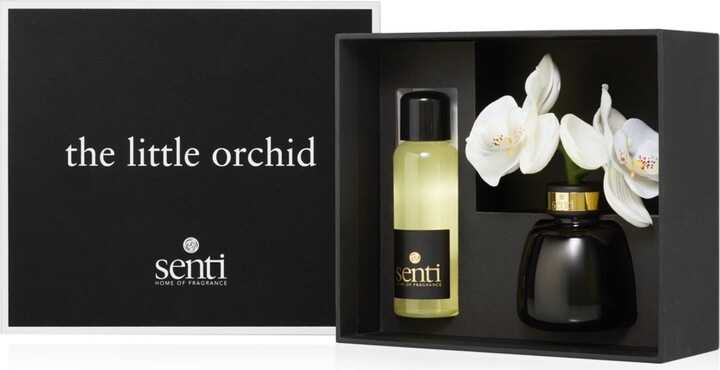 Senti Bergamot and Ginger Orchid Diffuser - ShopStyle Decor