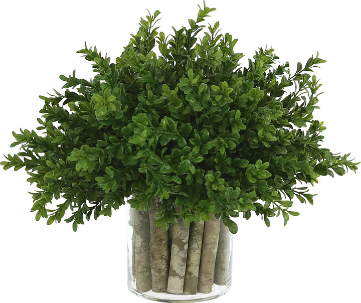 Creative Displays Boxwood in a Glass Vase with Birch Sticks - ShopStyle