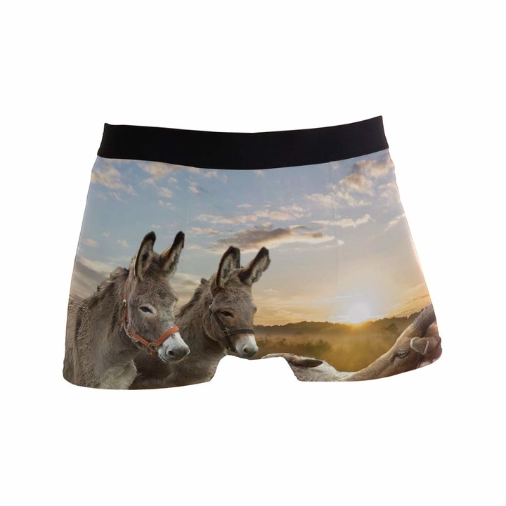 Pinllg Donkey Goat Animal Boxer Briefs Underwear for Men Boys Shorts ...