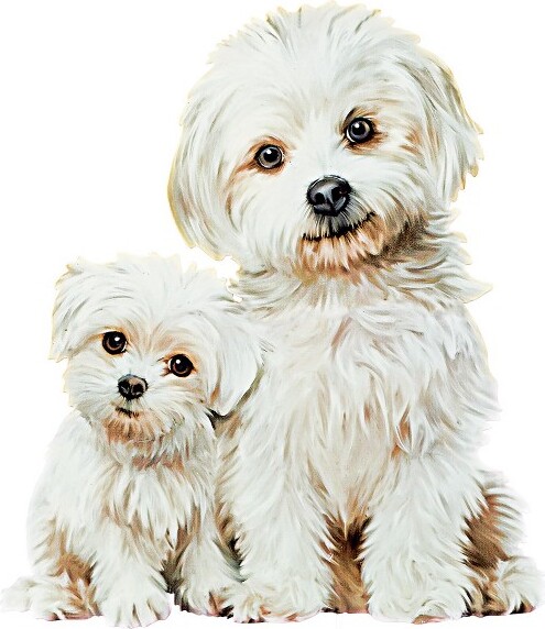 Collections Etc. Collections Etc Realistic Maltese Dog Outdoor Garden ...