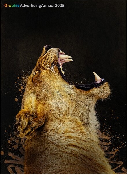 Graphis Inc. Graphis Advertising Annual 2025 - by B Martin Pedersen (Hardcover) - ShopStyle Clocks