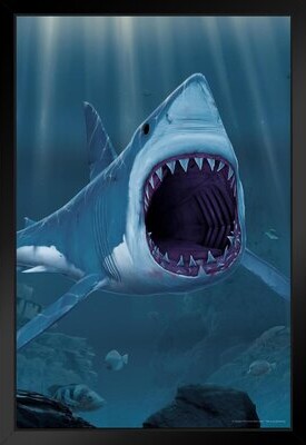 Trinx Great White Shark Huge Jaws By Vincent Hie Shark Posters For ...