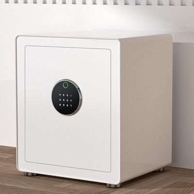 DEBLIT Modern Minimalism Design Biometric Fingerprint Touch Screen Safe ...