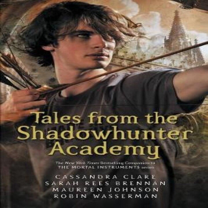 Robin Wasserman Tales from the Shadowhunter Academy Book - ShopStyle