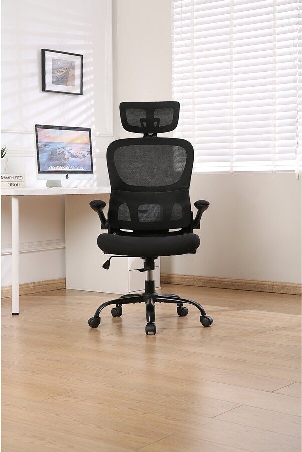 EDWINRAY Ergonomic Office Chair Lumbar Support, High Back Computer ...