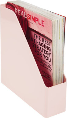 mDesign Desktop Organizer Magazine Holder - ShopStyle Home Office ...