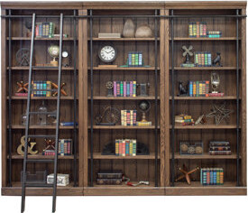 Birch Lane Lorna Rustic 94" Tall Bookcase Wall With Ladder, Storage ...