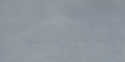 Emser Tile Spectra 12 In. X 24 In. Matte Porcelain Floor And Wall Tile ...