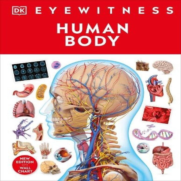 DK Human Body Hardback Book - ShopStyle