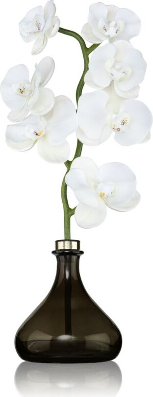 Senti Fig Orchid Diffuser (250Ml) - ShopStyle Home Fragrance