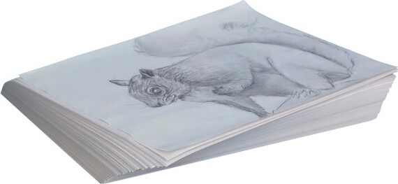 School Smart Newsprint Drawing Paper, 30 lb, 18 x 24 Inches, 500 Sheets ...