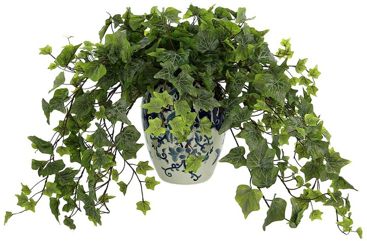 Creative Displays Ivy Plant In A Ceramic Vase - ShopStyle