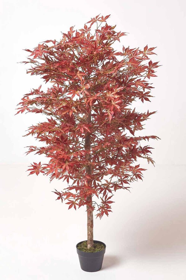 Homescapes Acer Tree in Pot, 150 cm Tall - ShopStyle Decor