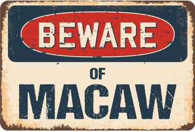 SignMission Beware of Macaw Sign - ShopStyle