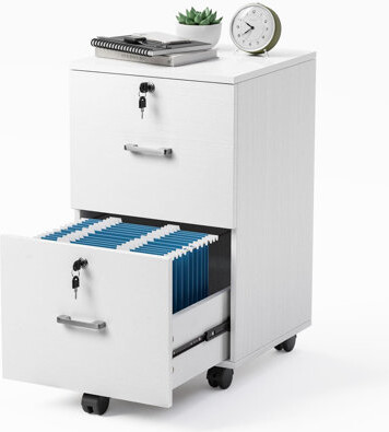 RAYNED LLC 2 Drawer File Cabinet With Lock - ShopStyle Countertop Storage