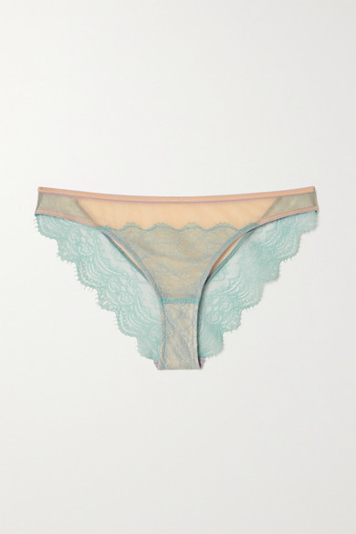 Dora Larsen Iris Corded Lace And Stretch-tulle Briefs - Sky blue ...