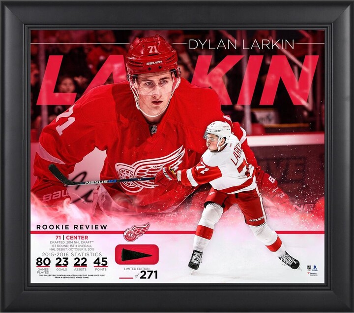 Fanatics Authentic Dylan Larkin Detroit Red Wings Framed 15" x 17 ...