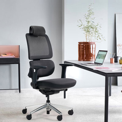 Cubespace Ergonomic Mesh Task Chair - ShopStyle