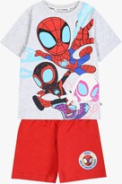 Hasbro Spidey and his Amazing Friends Spidey and His Amazing Friends ...