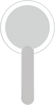 Ebern Designs Iry Round Handheld Swivel LED Makeup Mirror with Ring LED ...