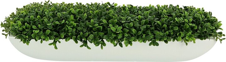 Creative Displays Uv-Rated Outdoor Boxwood Arrangement In White ...