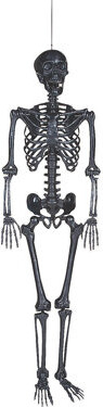 The Holiday Aisle Life Size Poseable Skeleton Figurine - ShopStyle ...