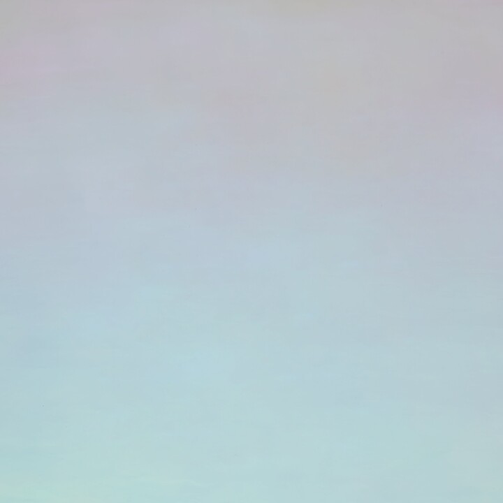 Dunelm By the Metre Iridescent PVC Clear - ShopStyle Outdoor Umbrellas