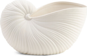 7in Nautilus Shell Planter - ShopStyle Hanukkah Decorations