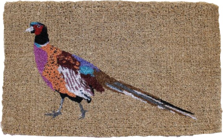 Dunelm Fallen Fruits Pheasant Coir Doormat Brown - ShopStyle Rugs