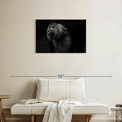 Elephant Stock Capuchin Monkey - ShopStyle Holiday Wall Art