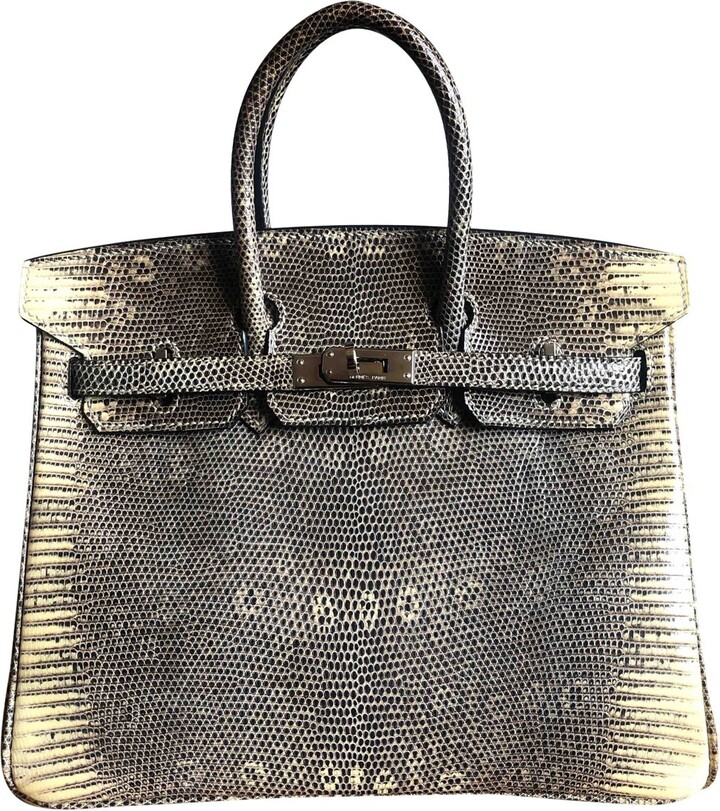 Hermes Birkin 25 lizard handbag - ShopStyle Shoulder Bags