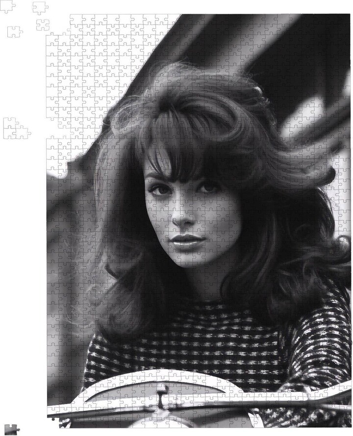 Warren Reed - Designer 1960 Riding Out Jigsaw Puzzle - ShopStyle