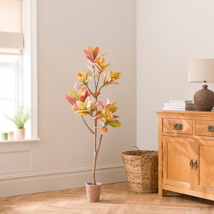 Dunelm Artificial Croton Tree in Terracotta Plant Pot Red - ShopStyle ...