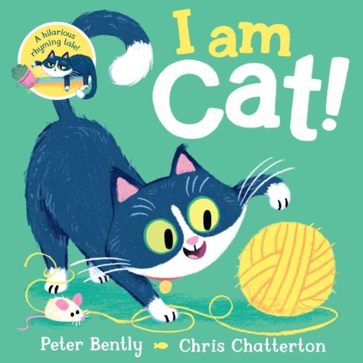 Peter Bently I am Cat Book - ShopStyle
