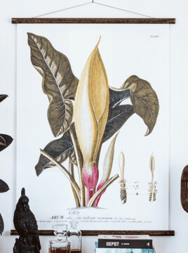 Erstwhile Wall Hanging Trew Arum - ShopStyle Artwork