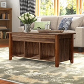 Andover Mills Naylor Lift Top Extendable Coffee Table with Storage ...