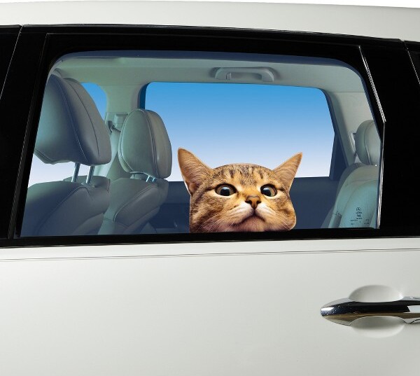 Collections Etc. Collections Etc Whimsical Cat Face Vinyl Window Decal ...