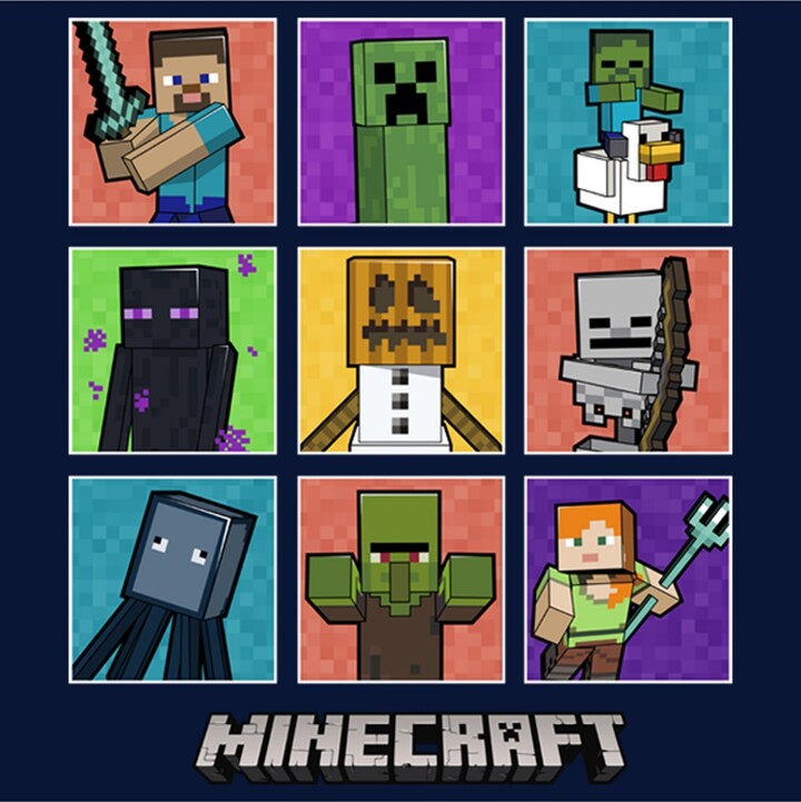 Microsoft Boy's Minecraft Character Grid Boxes Child T-Shirt ...
