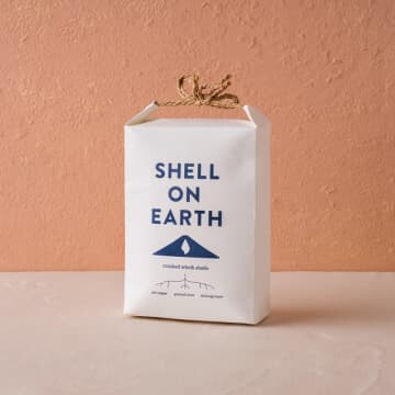 Shell on Earth Crushed Whelk Shells - ShopStyle Decor