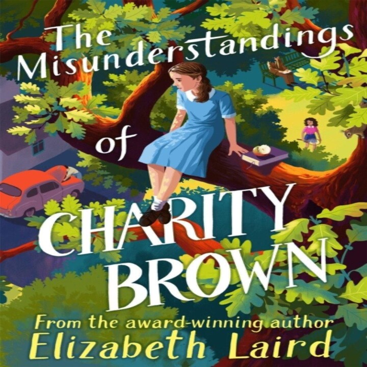 Elizabeth Laird The Misunderstandings of Charity Brown Book - ShopStyle