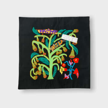 botanicalboysuk Mapula Embroidered Cushion 50x50 South Africa - ShopStyle
